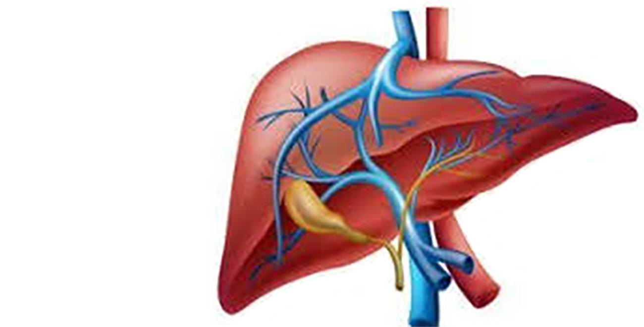 Publiekslezing levertumoren - UMC Utrecht