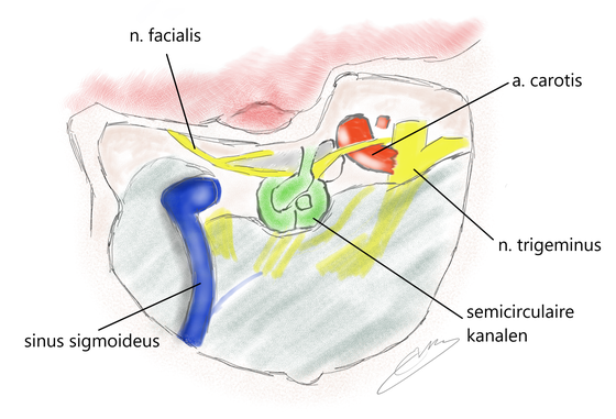 Centrum voor zeldzame schedelbasis tumoren - UMC Utrecht