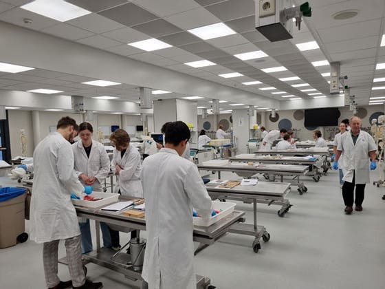 Afdeling Anatomie - UMC Utrecht