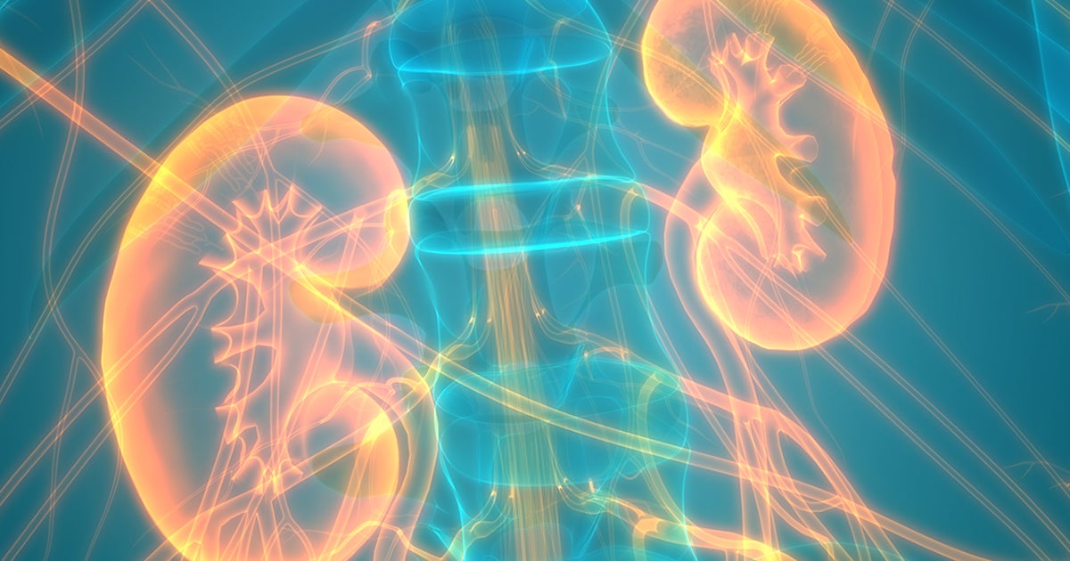 KidneyX Prize voor kunstnierproject MI-TRAM - UMC Utrecht