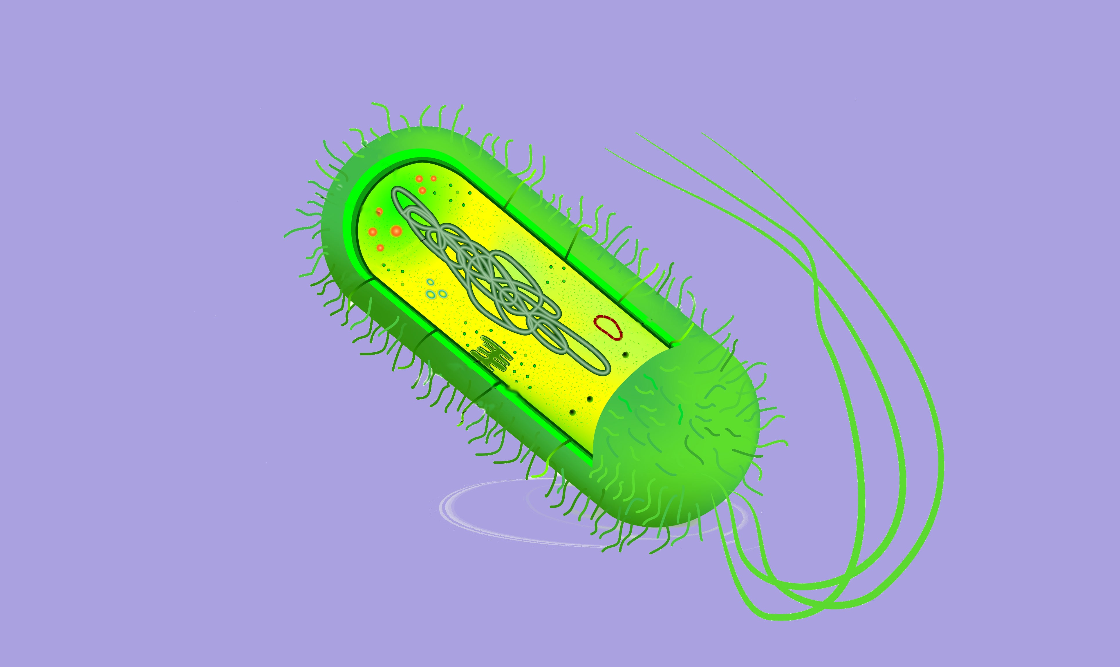 Sep 28: New method improves tracking of AMR plasmid dissemination - UMC ...