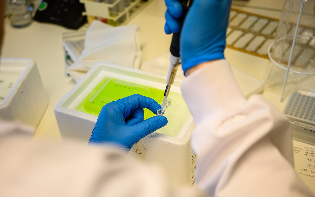 Negen nieuwe universitair hoofddocenten benoemd - UMC Utrecht