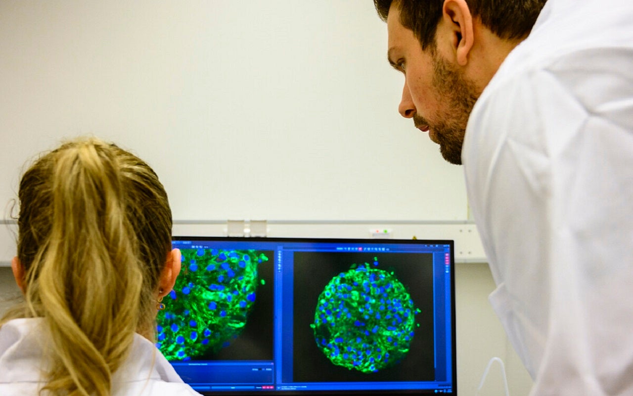 Drie ERC Consolidator Grants voor veelbelovende onderzoekers UMC ...