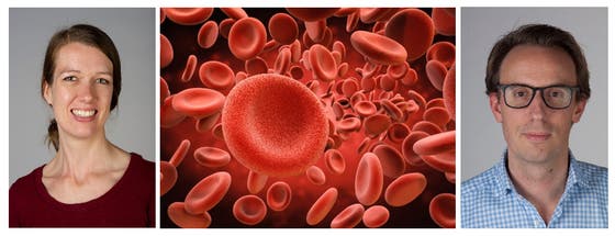 Prikpost december 2022 - UMC Utrecht