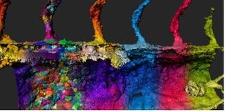 Onderzoekers doen nieuwe ontdekking over vorming bloedvaten - UMC Utrecht