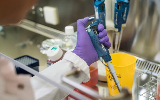 Het UMC Utrecht benoemt tien clinical scientists - UMC Utrecht