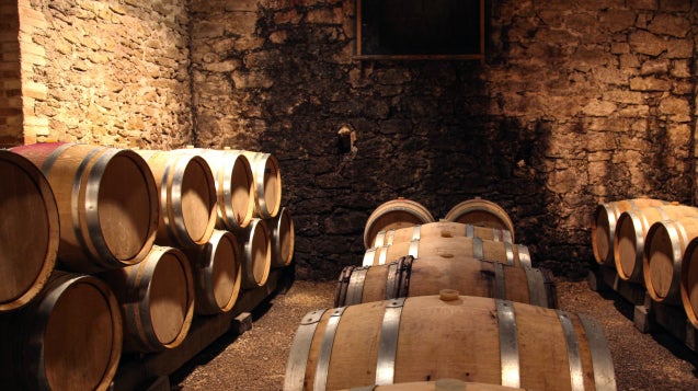 Jak vybrat nejlepší víno | BILLA e-shop