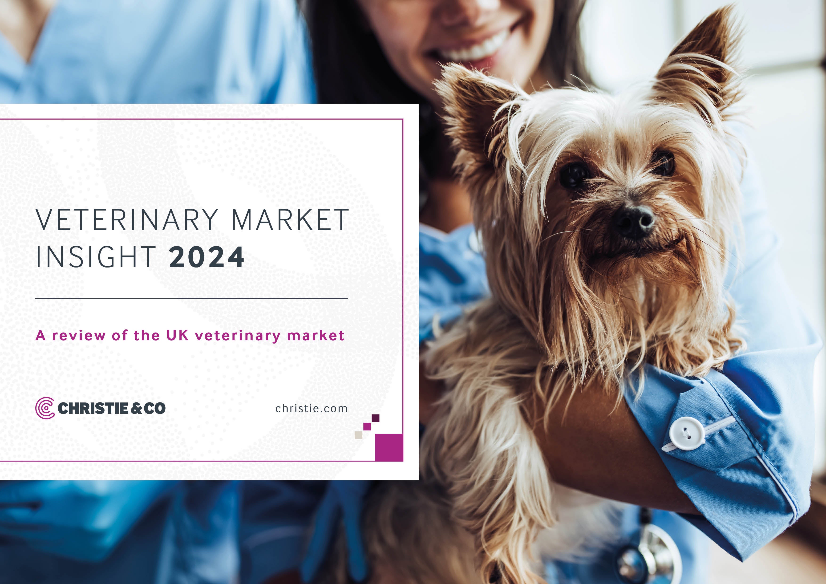 Christie & Co launches its new Veterinary Market Insight 2024 report ...