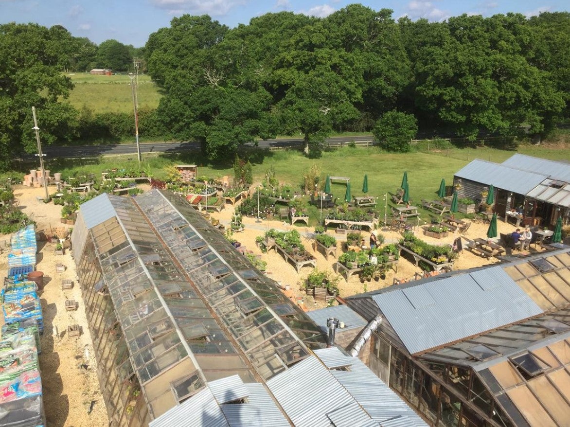 Setley Ridge Garden Centre sold to local New Forest couple | Christie & Co