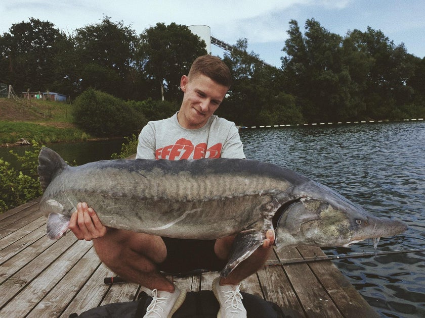 Darwin sucht den Fang seines Lebens | DKMS