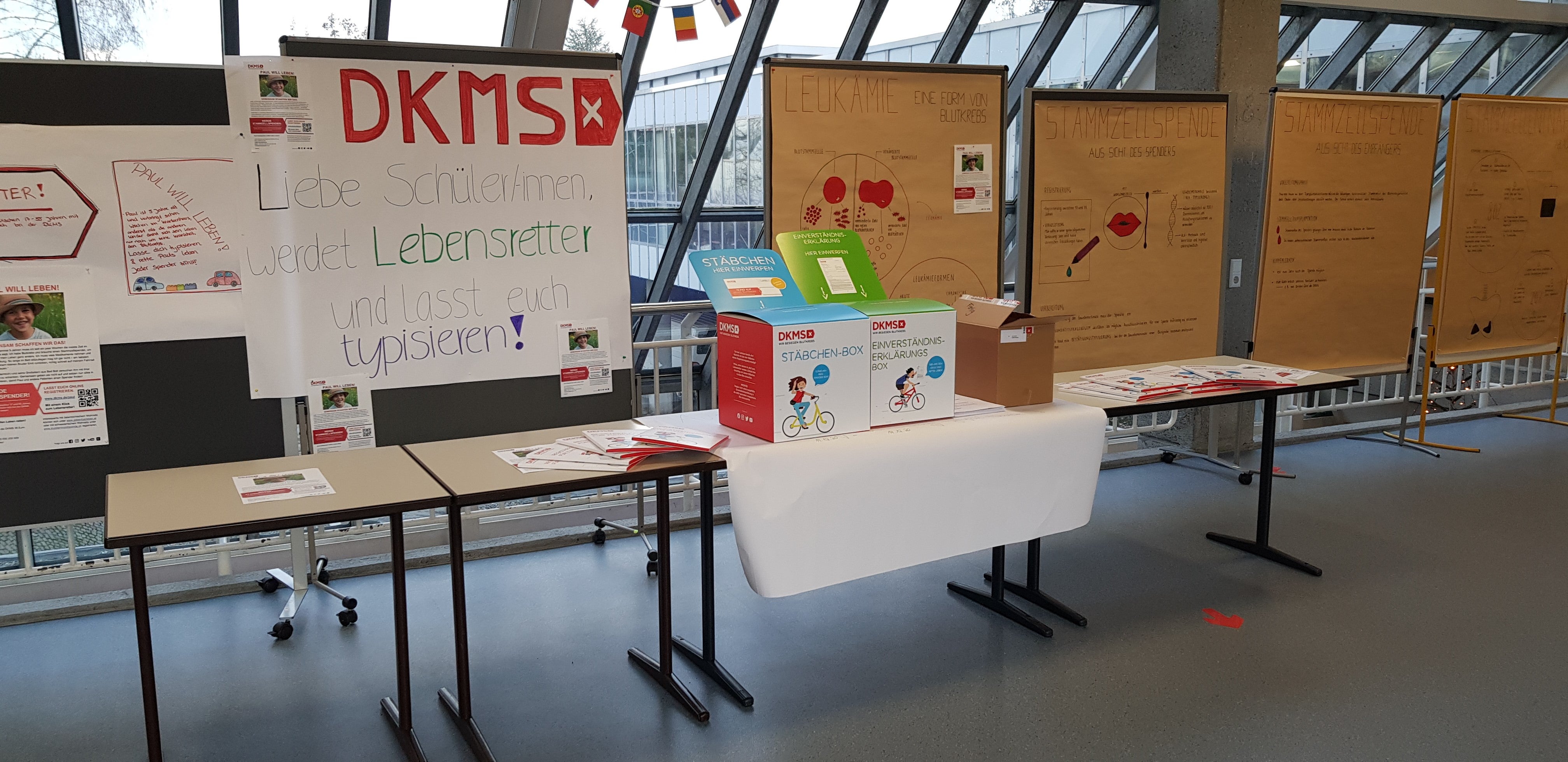 DKMS Schulaktion starten: Alle Infos