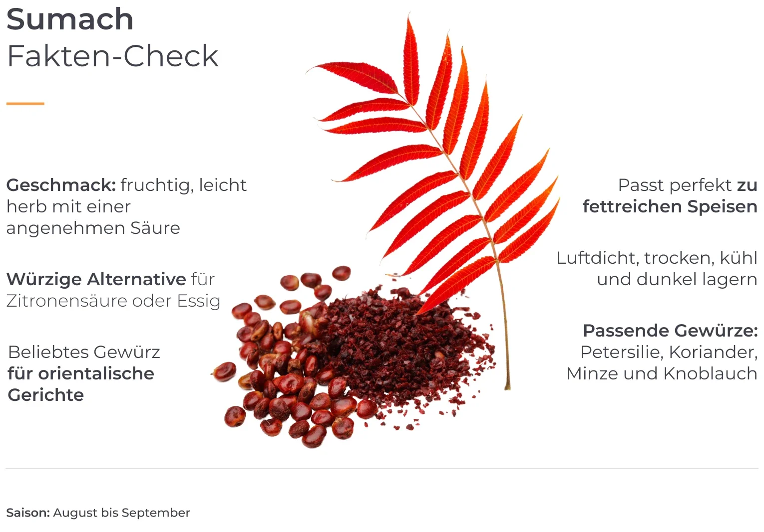 Sumach: Wissenswertes & Rezepte