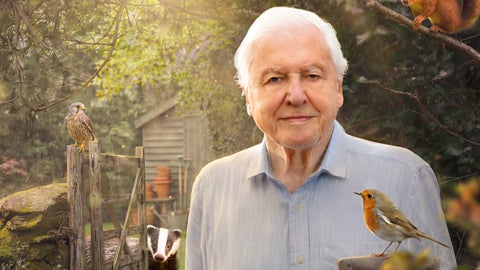 Secret Garden - The Open University | A BBC co-production