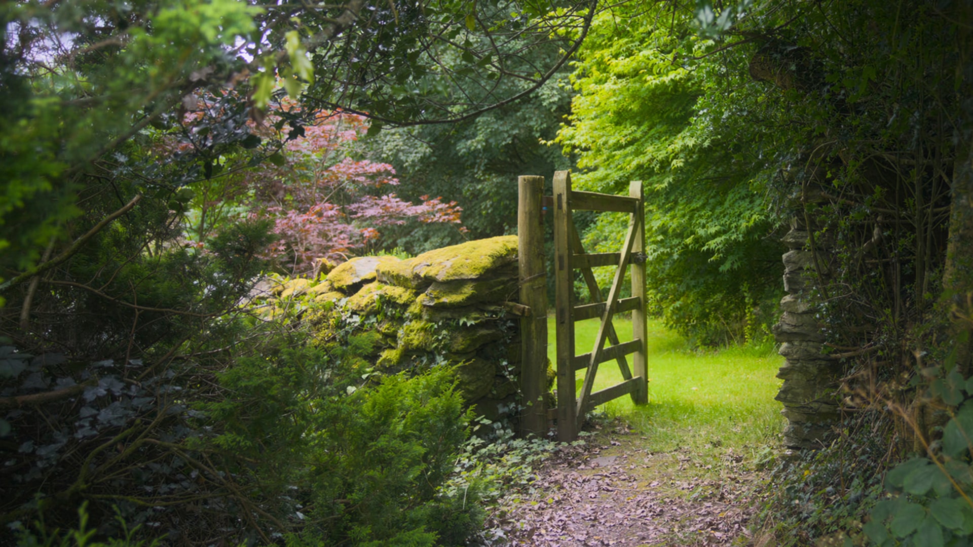 Secret Garden - The Open University | A BBC co-production