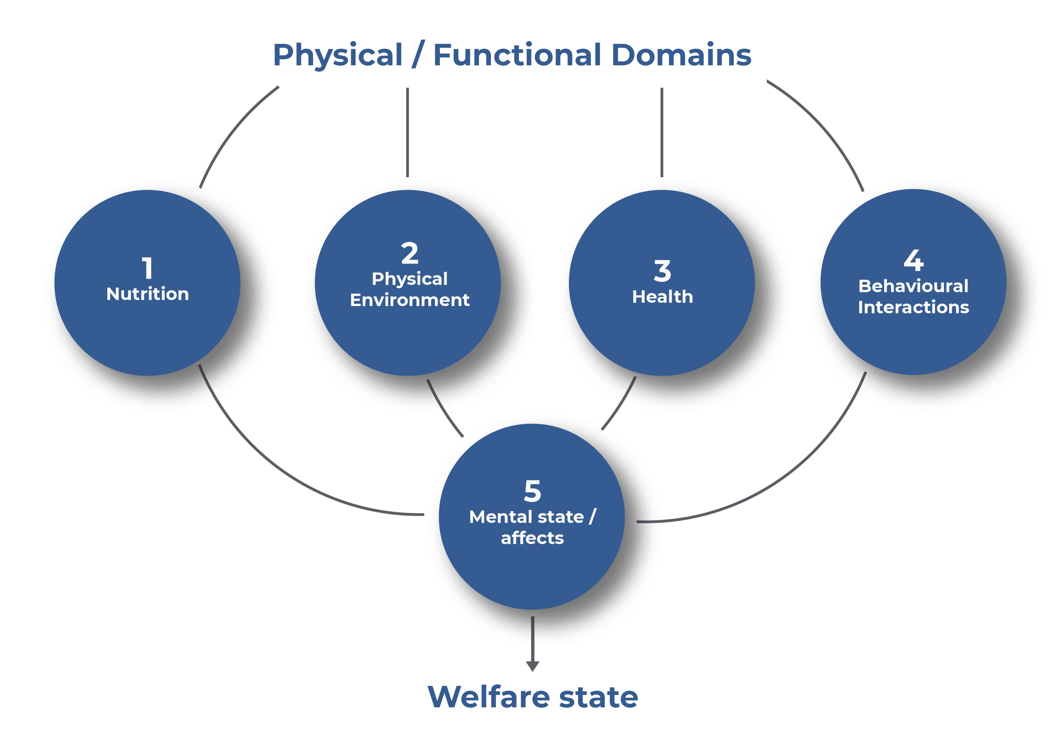 Should Animals be kept in zoos? - An OU/BBC Ideas co-production