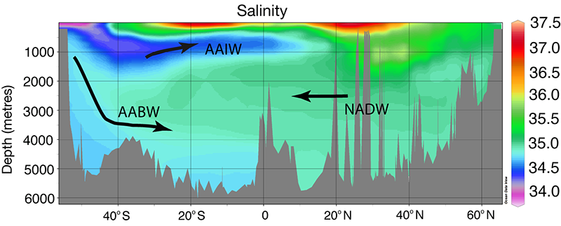 A graph illustrating seawater salinity across various ocean water sources