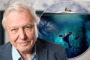 Planet Earth 3 | The Open University