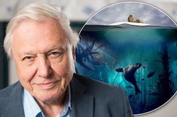 Planet Earth 3 | The Open University