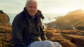 Springwatch 2025 - The Open University | An OU/BBC co-production