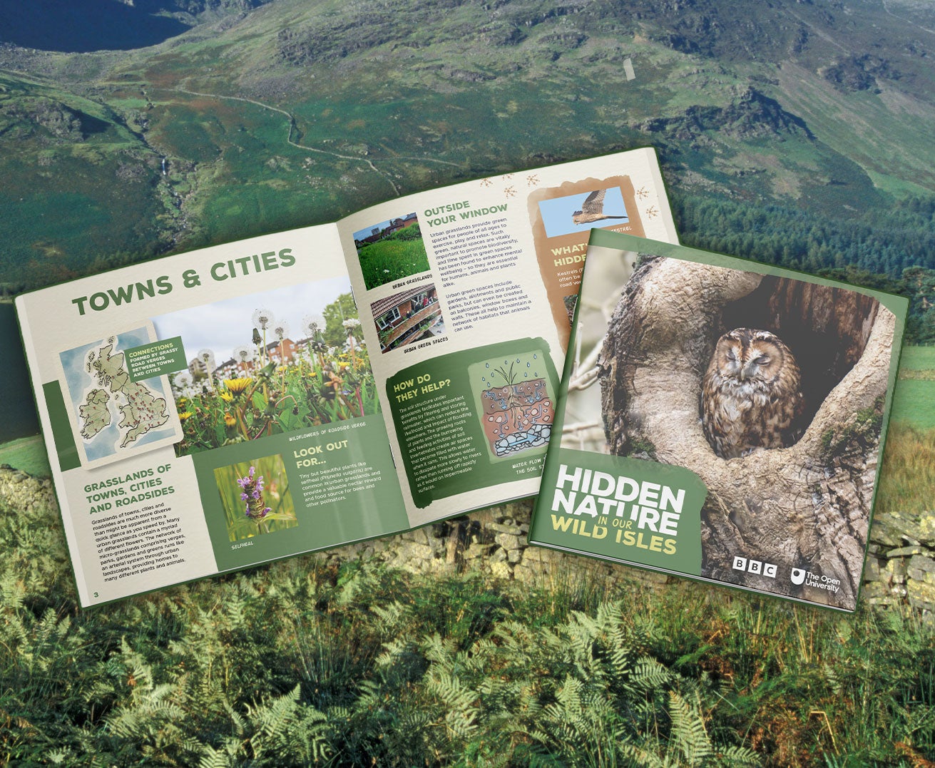 Hamza’s Hidden Wild Isles - An OU/BBC Co-production