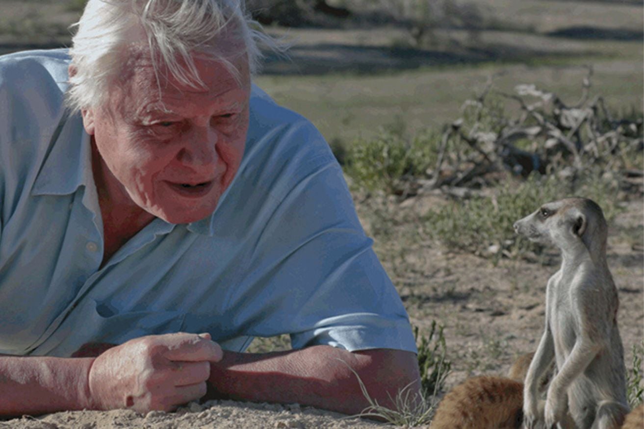 Life story - An OU/BBC co-production