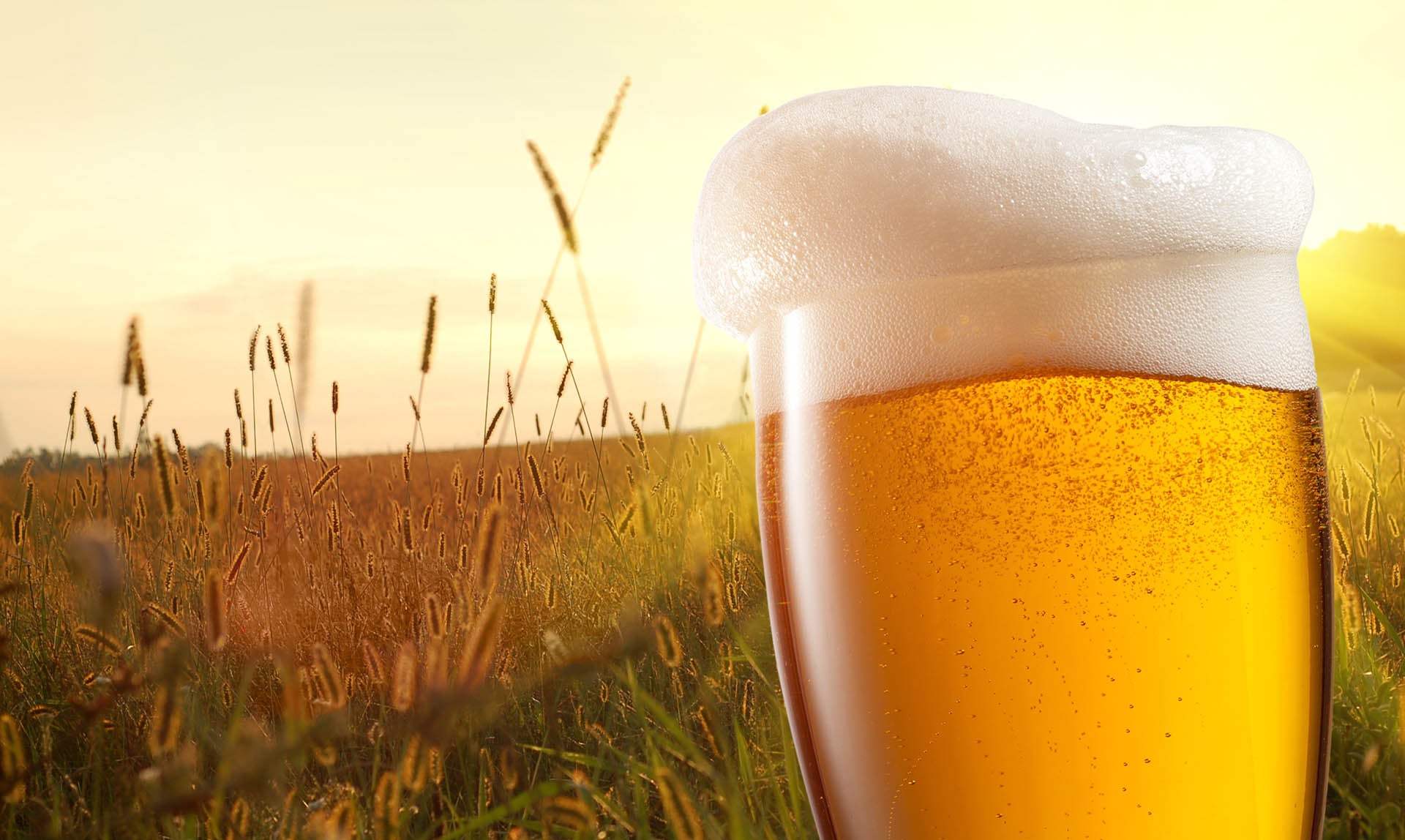 Alkoholos italok