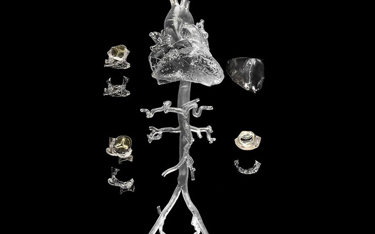 How a Modular Testbed Helps Medical Device Developers | Materialise