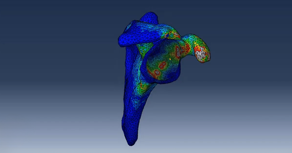 Tutorial: Prepare Anatomical Models for Finite Element Analysis