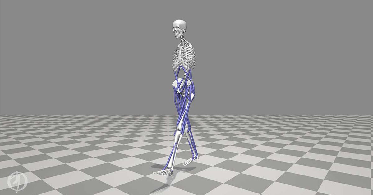 How to Balance the Need for Subject-Specific Anatomical Detail and ...