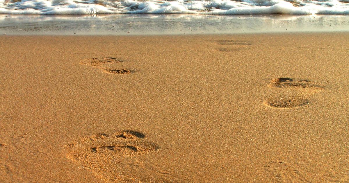 Foot Health Awareness Month: How Well Do You Know Your Feet?