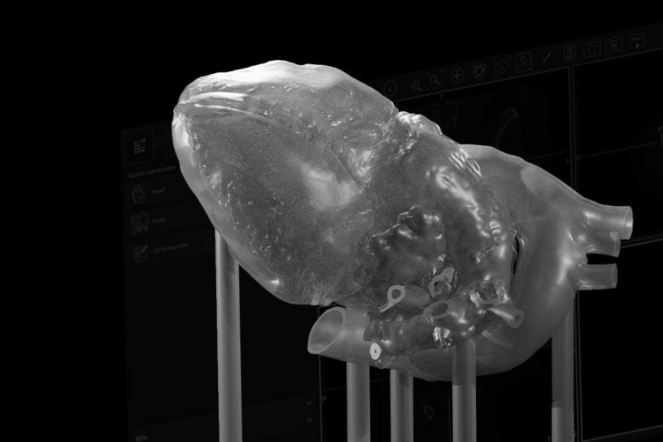 3D-Printed Benchtop Models | Mimics Innovation Suite for Academia