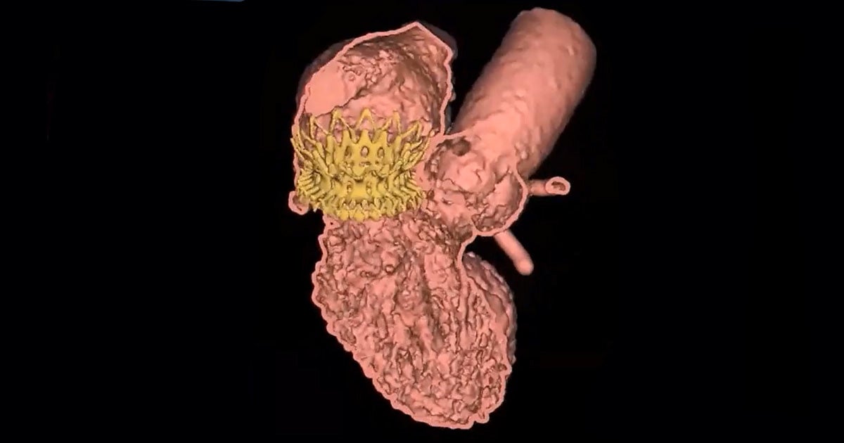 Advanced 3D Simulation, Modeling, and Printing in TMVR