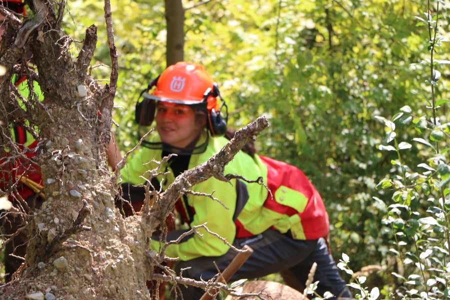 Kurs für Waldarbeiter, Durchforstung und Freischneide