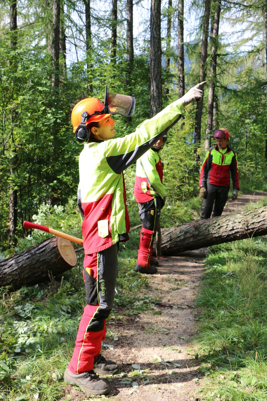 Kurs für Waldarbeiter, Durchforstung und Freischneide