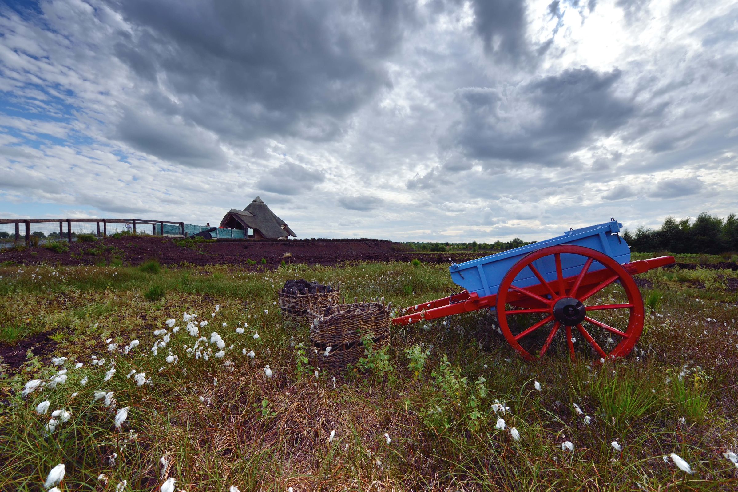 Visit County Kildare with Discover Ireland