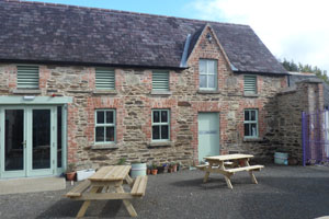 Visit Wexford Lavender Farm with Discover Ireland