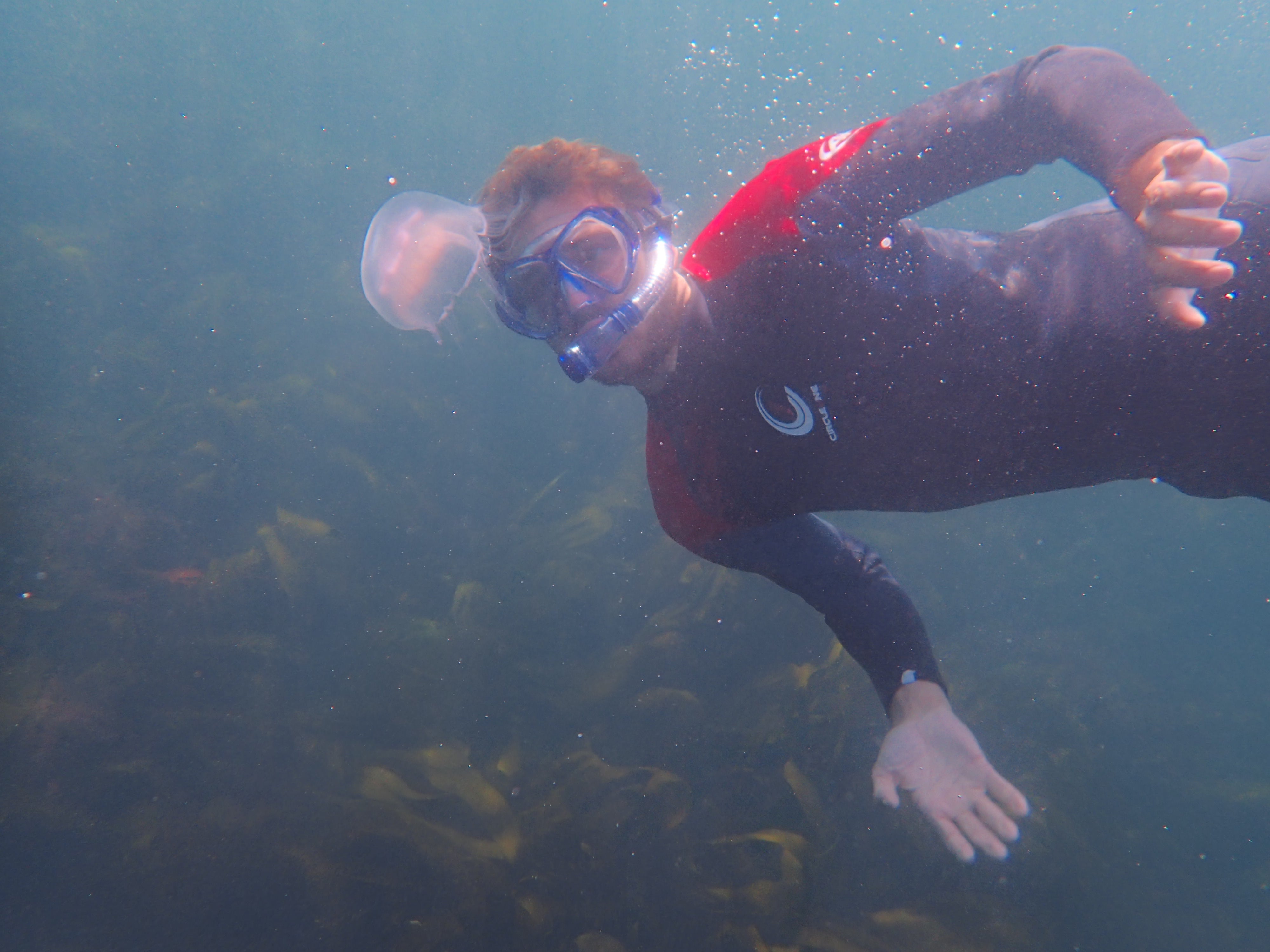 Visit Sea Synergy Marine Awareness & Activity Centre with Discover Ireland