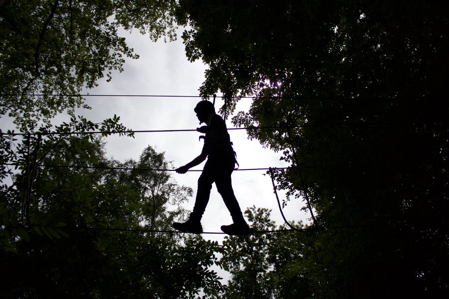 Visit Squirrel's Scramble Tree Adventure Park with Discover Ireland