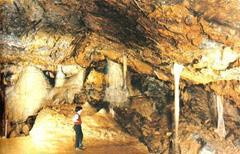 Visit Mitchelstown Cave with Discover Ireland