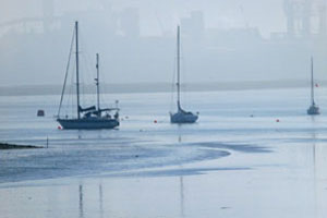 Visit Foynes Island Viewpoint with Discover Ireland