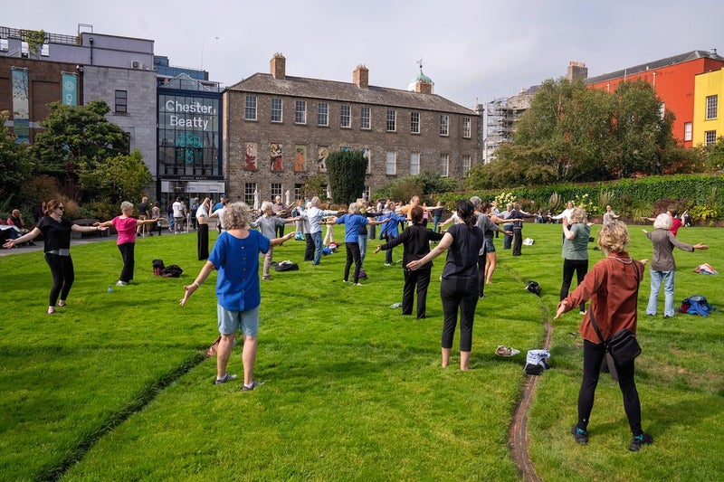 Qigong in the Dubh Linn Garden