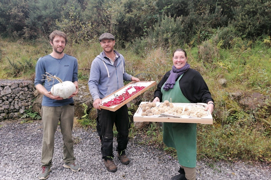 Visit Irish Seed Savers with Discover Ireland