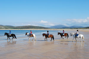 Visit Tullagh Bay Equestrian with Discover Ireland