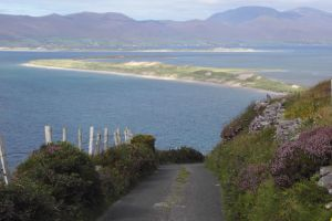 Visit Rossbeigh Beach Horse Riding Centre with Discover Ireland