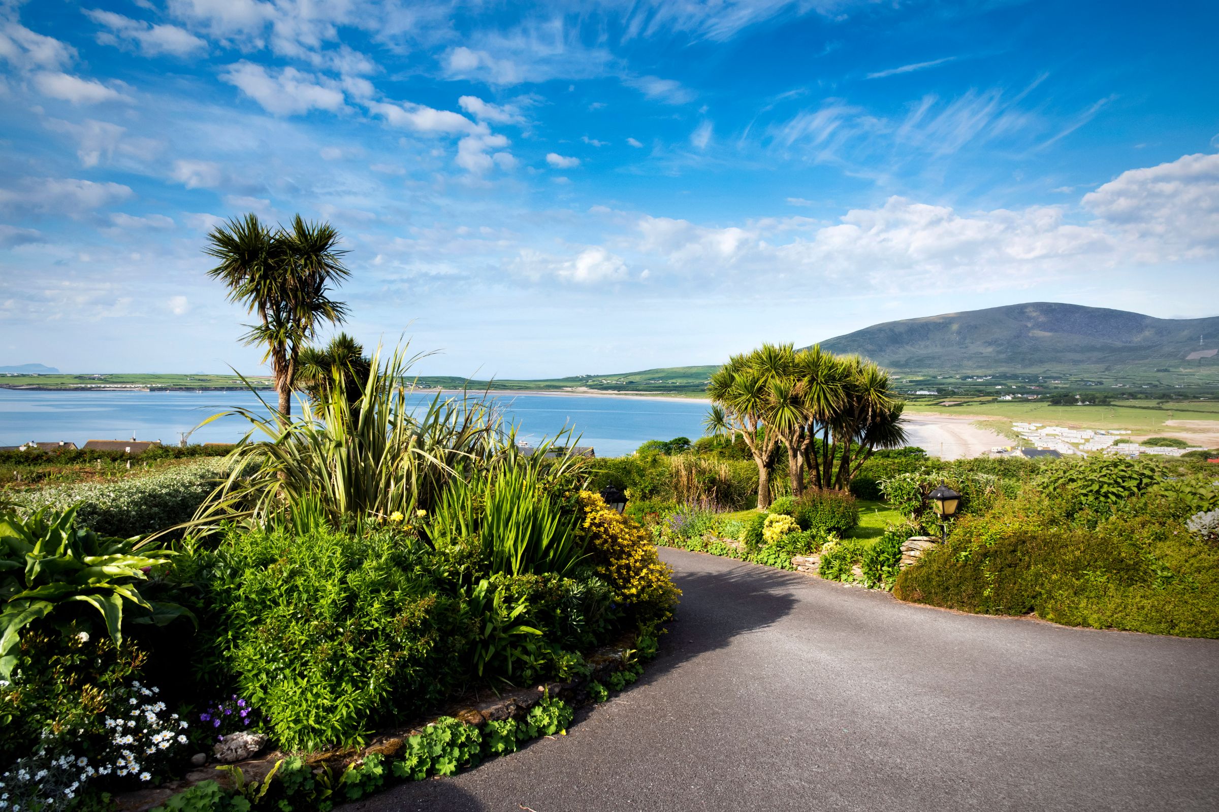 Check out Picturesque Ventry with Discover Ireland