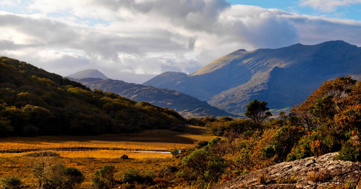Discover Fun Things to Do in Killarney