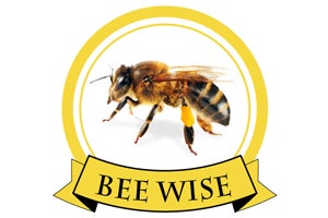 Visit Bee Wise Nature Trail with Discover Ireland