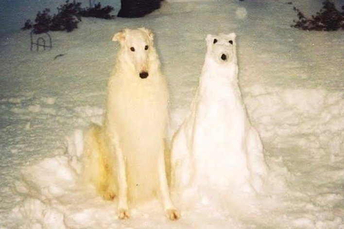 Sign Crushes Motorist