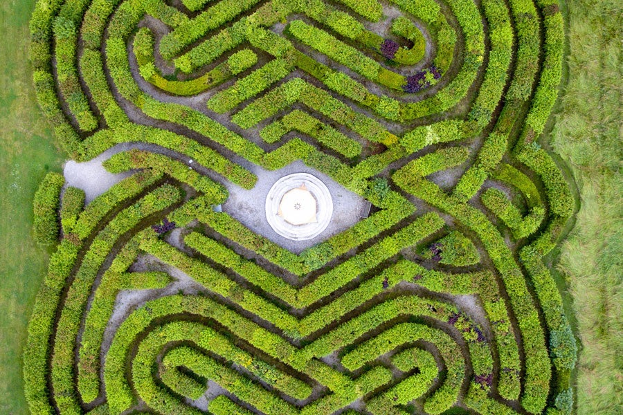 Visit Ballymaloe Cookery School with Discover Ireland