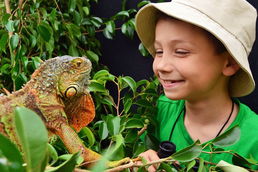 Visit The National Reptile Zoo with Discover Ireland
